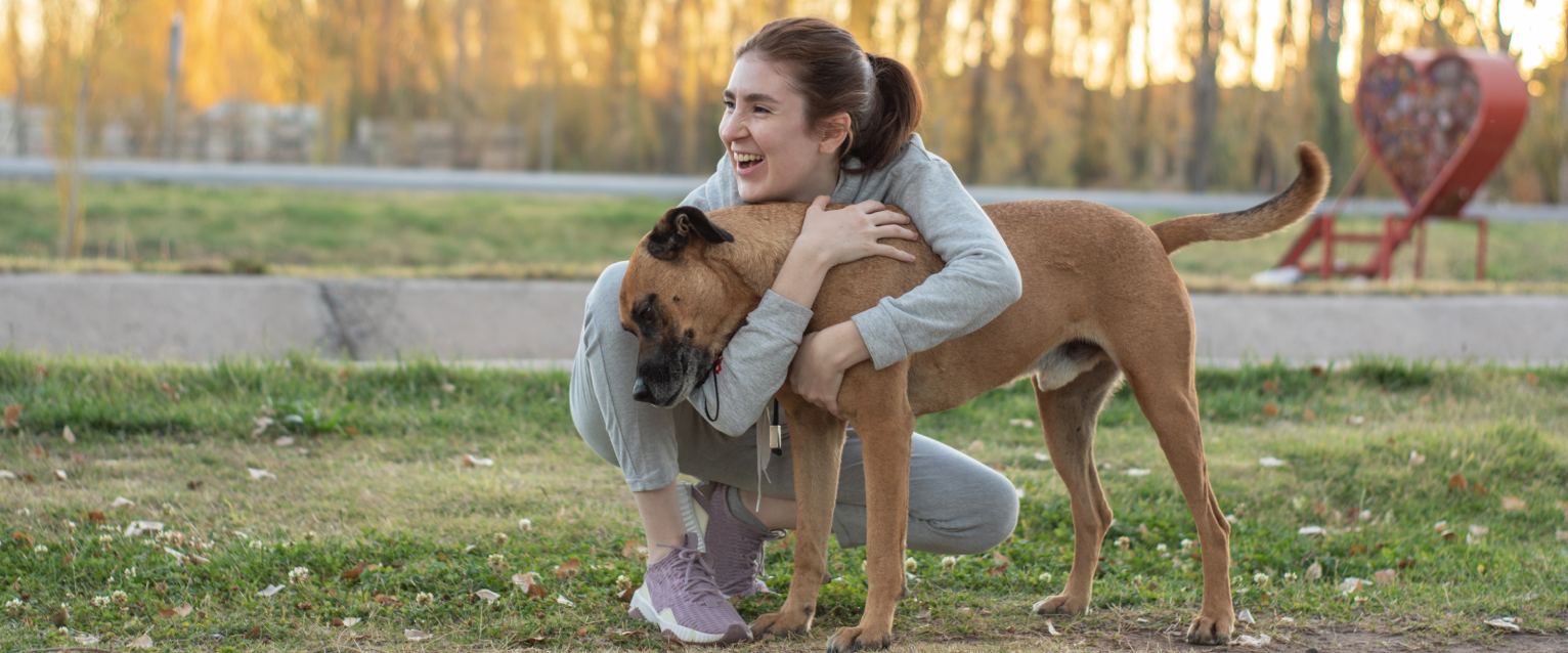 Dog Friendly Henley on Thames: Things To Do With a Dog ...