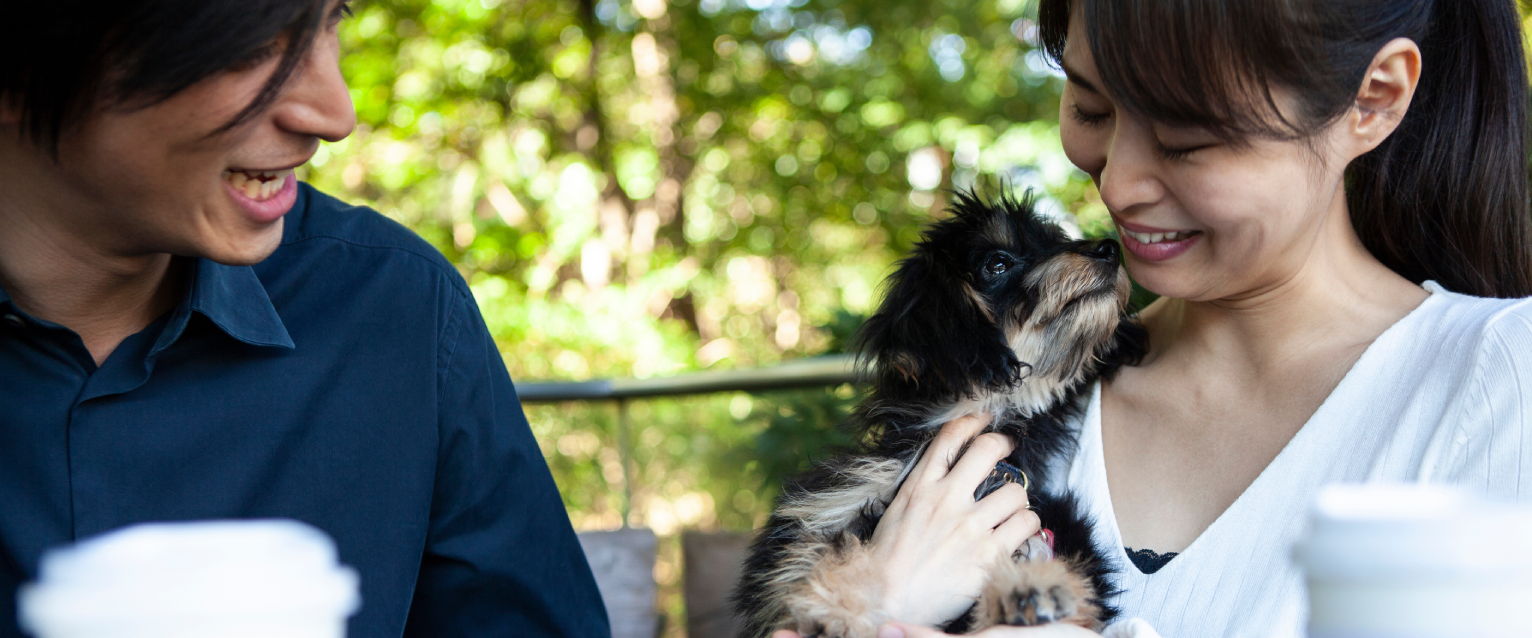 Dog Friendly Henley on Thames: Things To Do With a Dog ...