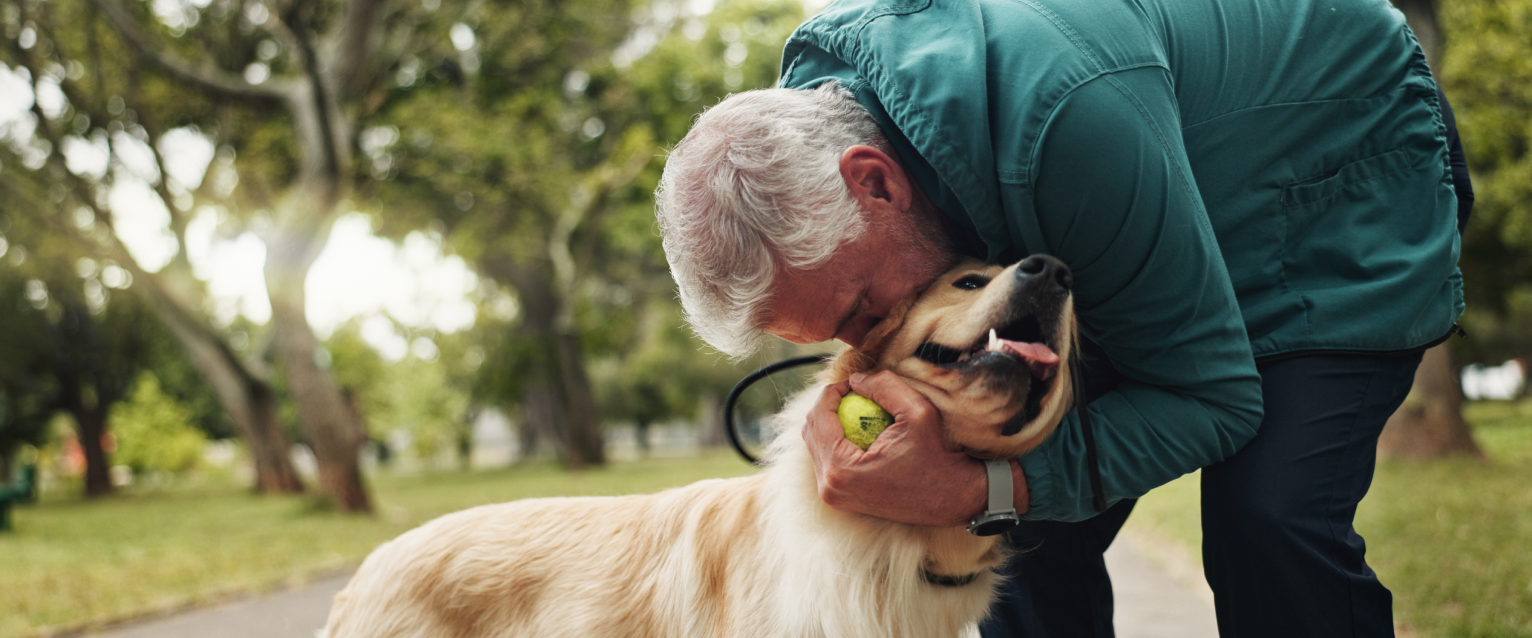 Dog Friendly Henley on Thames: Things To Do With a Dog ...