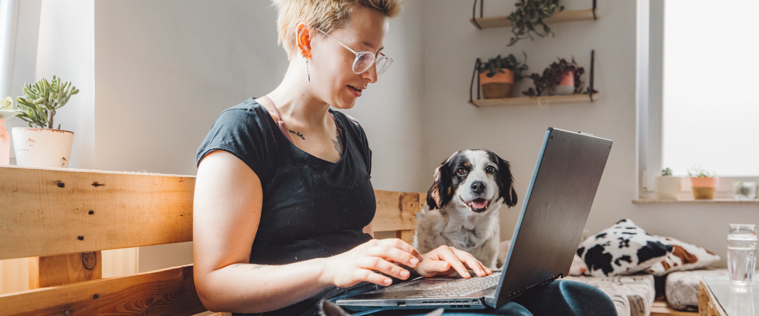 Dog Friendly Marlborough: Things To Do in Marlborough With a Dog ...