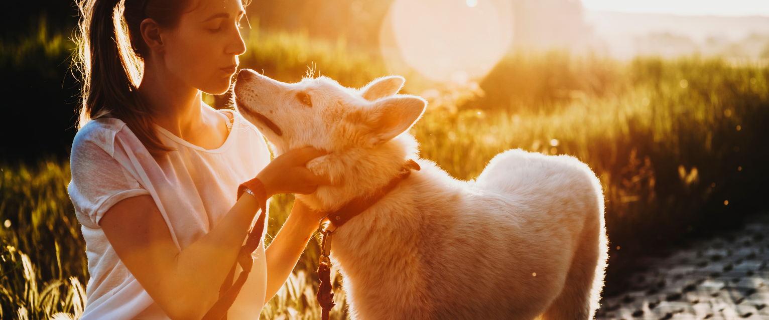 Dog Friendly Banbury: Things To Do in Banbury With a Dog ...
