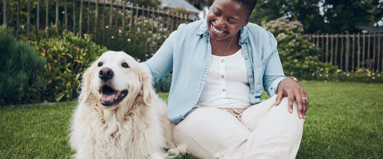 Dog Friendly Halifax: Things To Do in Halifax With a Dog ...