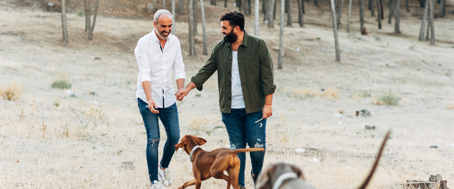 Dog-friendly Nelson: Things to do in Nelson with a dog ...