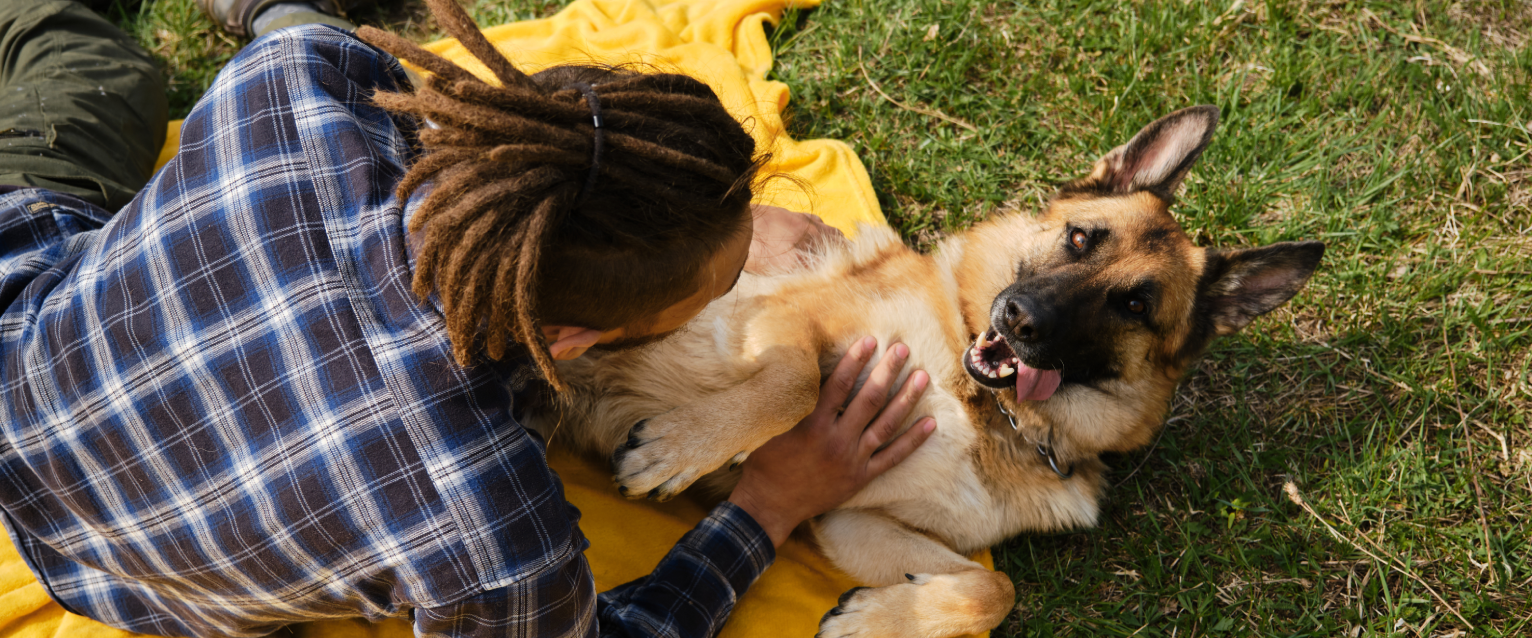 Dog-friendly Nelson: Things to do in Nelson with a dog ...