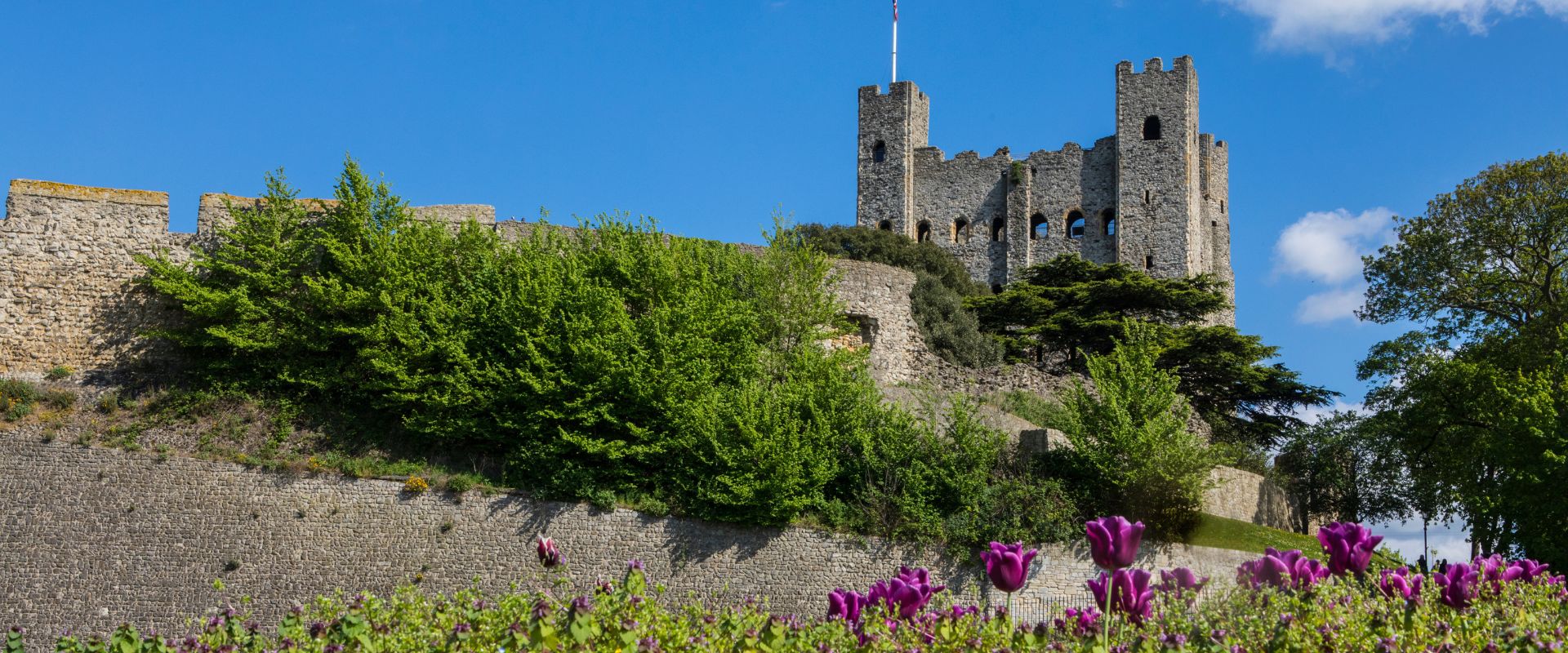 Dog-Friendly Kent | Dog-Friendly Beaches Kent | TrustedHousesitters.com