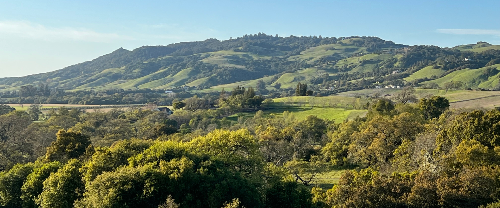 Dog-Friendly Santa Rosa: Restaurants, Hikes, Wineries & More ...