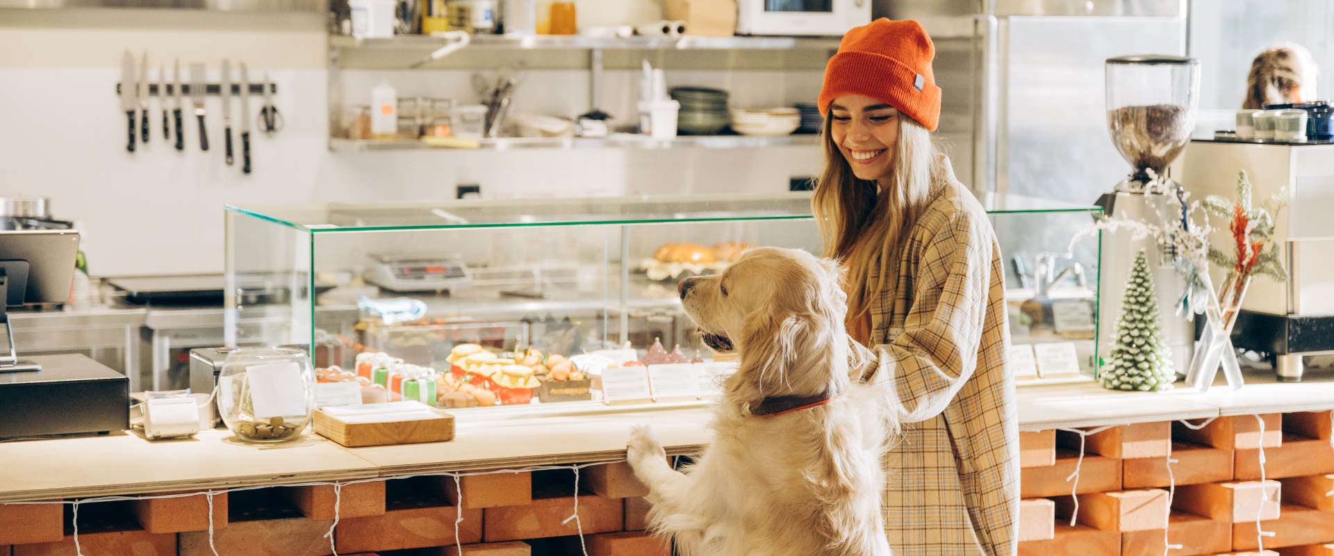 Dog-Friendly Santa Rosa: Restaurants, Hikes, Wineries & More ...