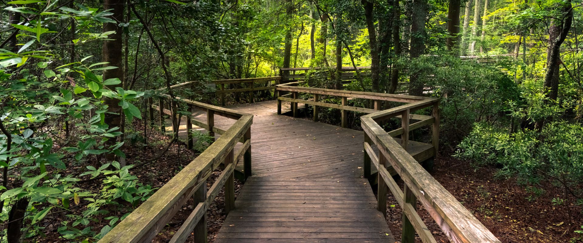 Pet-Friendly Virginia Beach | Dog-Friendly Restaurants Virginia Beach | TrustedHousesitters.com