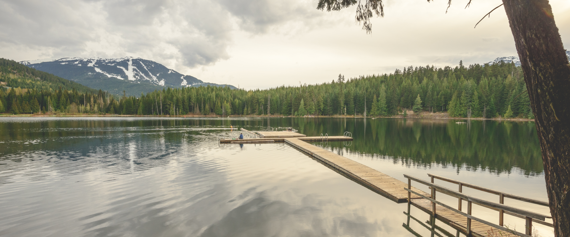 Pet-Friendly Whistler, BC: Things to Do in Whistler With a Dog ...