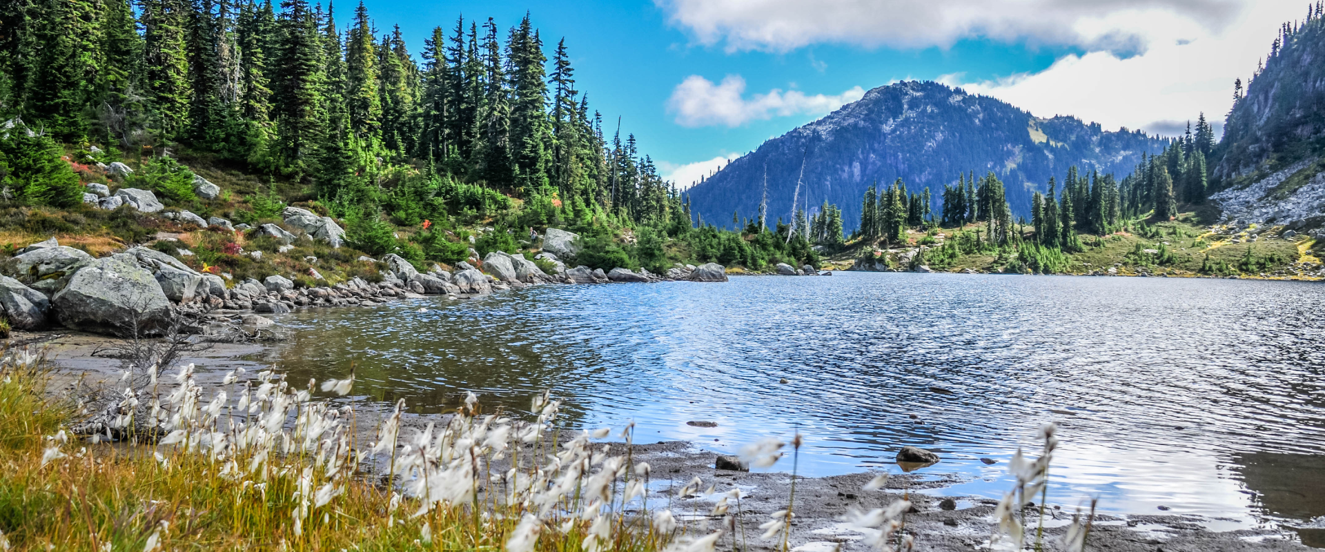 Pet-Friendly Whistler, BC: Things to Do in Whistler With a Dog ...