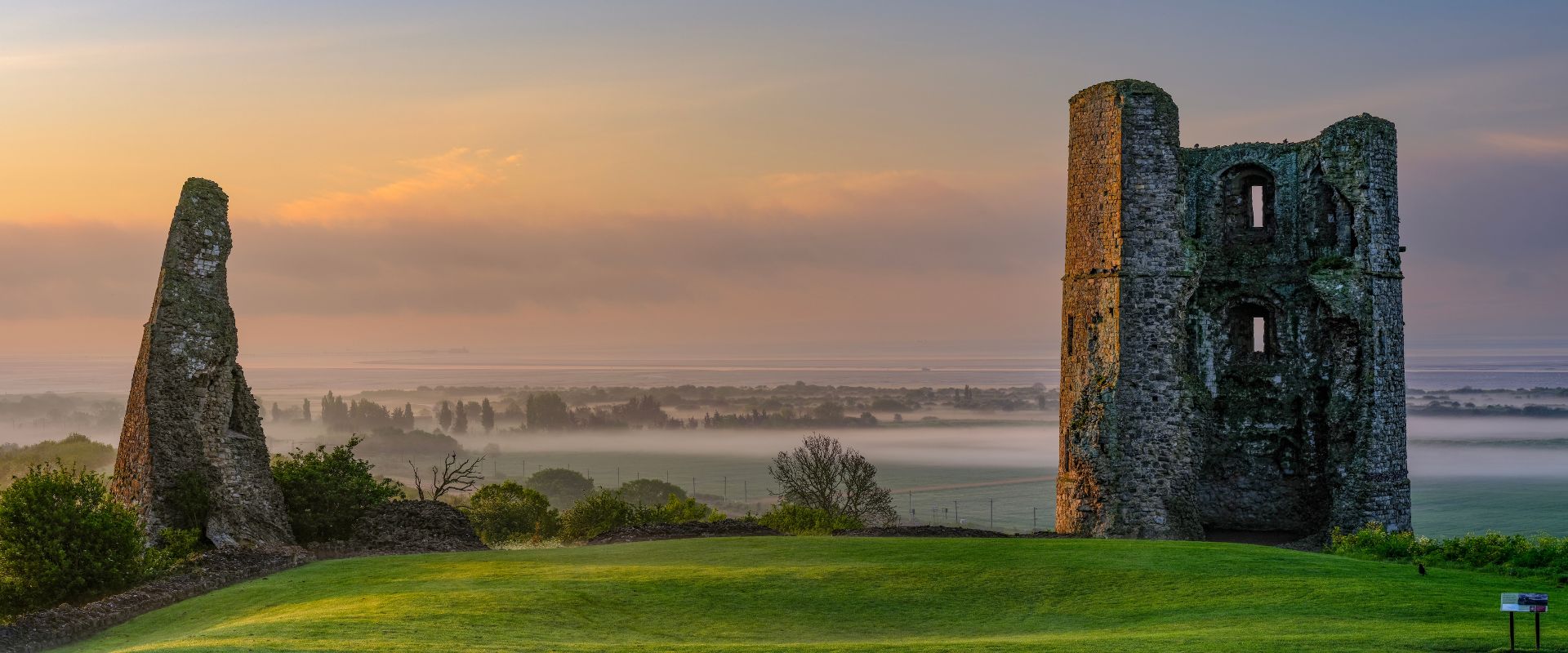 Dog-Friendly Essex Guide | Dog-Friendly Beaches Essex ...