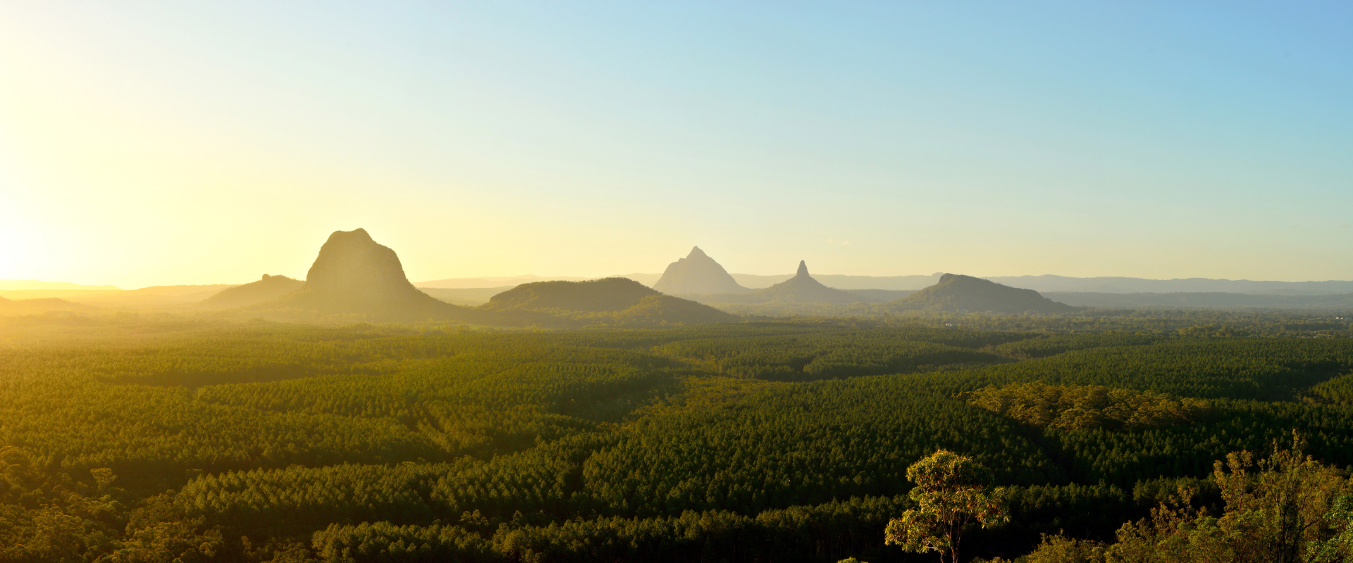 Dog-Friendly Sunshine Coast, QLD: What To See & Do With A Dog ...