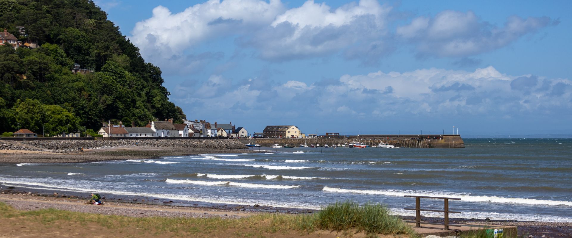 Dog-Friendly Somerset: Beaches, Dog Walks and Attractions ...