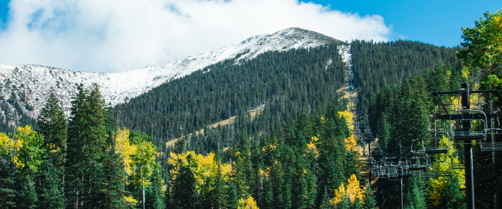 Pet-Friendly Flagstaff: Restaurants, Hikes & Things To Do ...