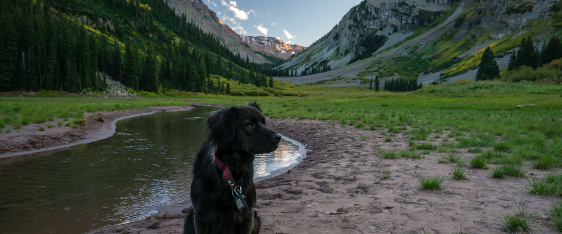 Pet-Friendly Flagstaff: Restaurants, Hikes & Things To Do ...