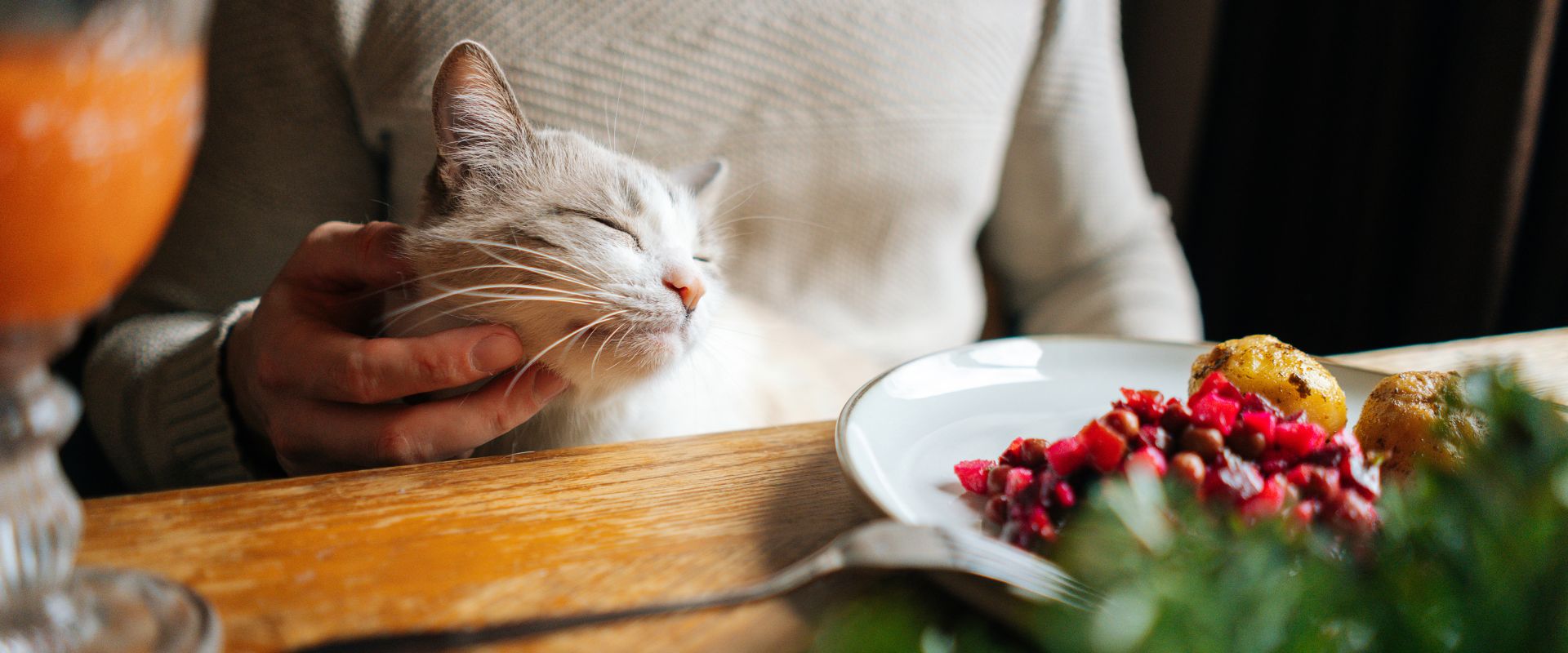 Can Dogs Eat Christmas Dinner | Festive Guide for Pets ...