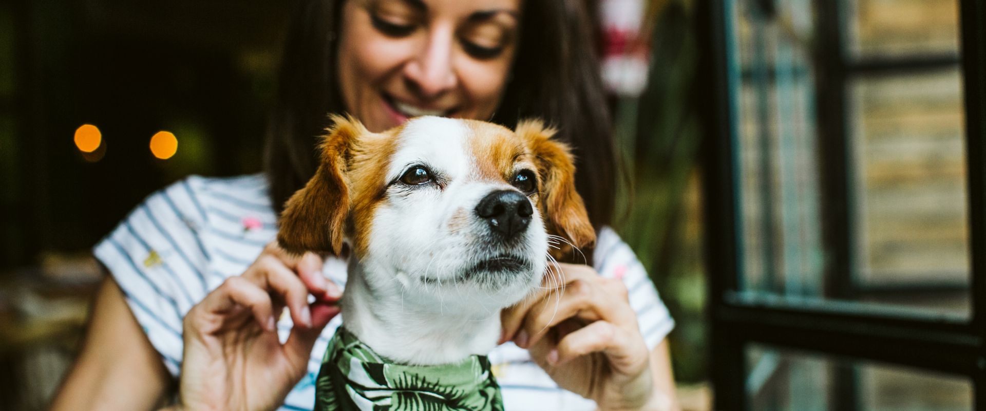 Dog-Friendly Durham: Restaurants, Attractions, Pubs & Walks ...