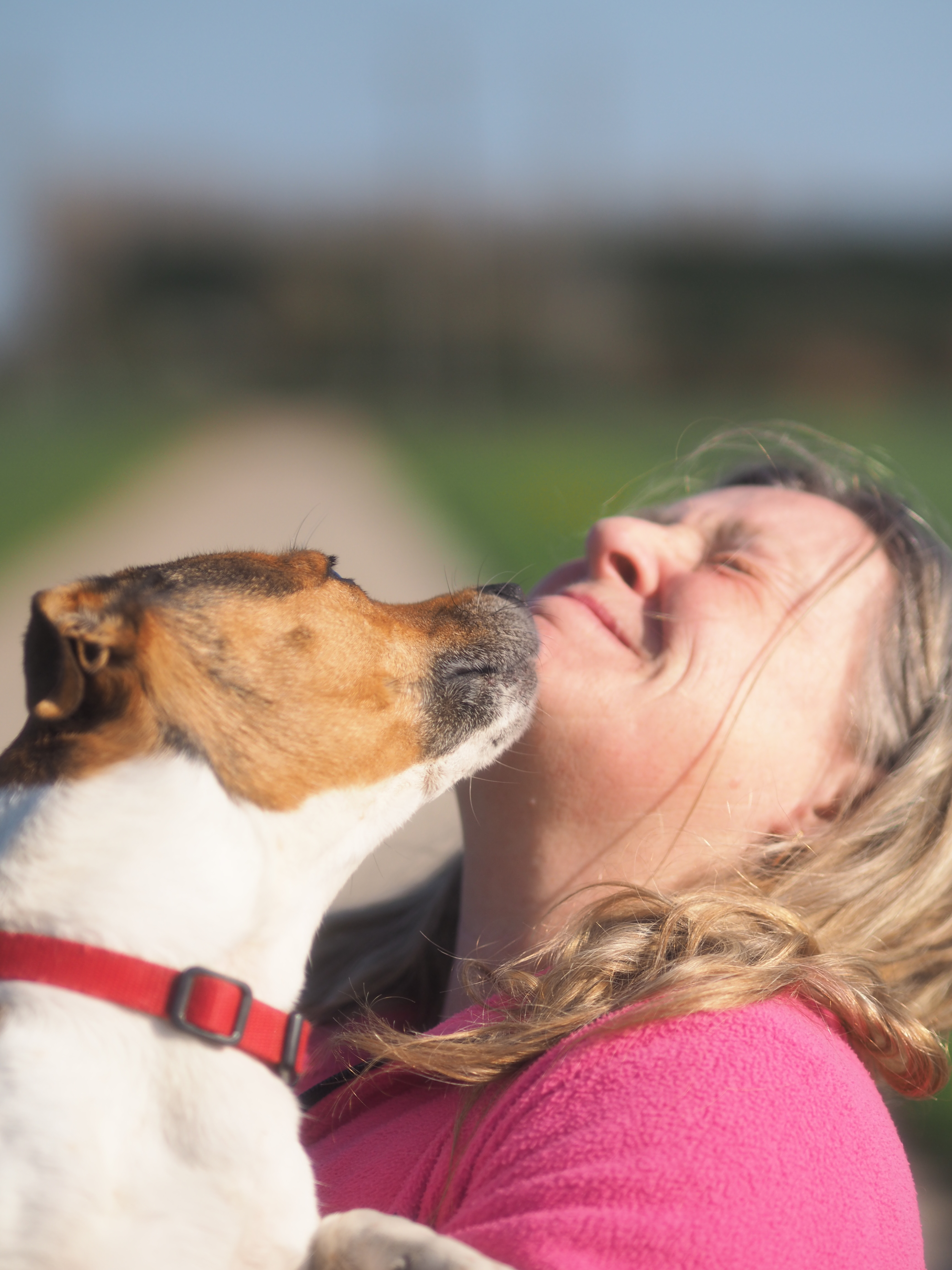 House sitting - Perfect to socialise your pet | TrustedHousesitters.com