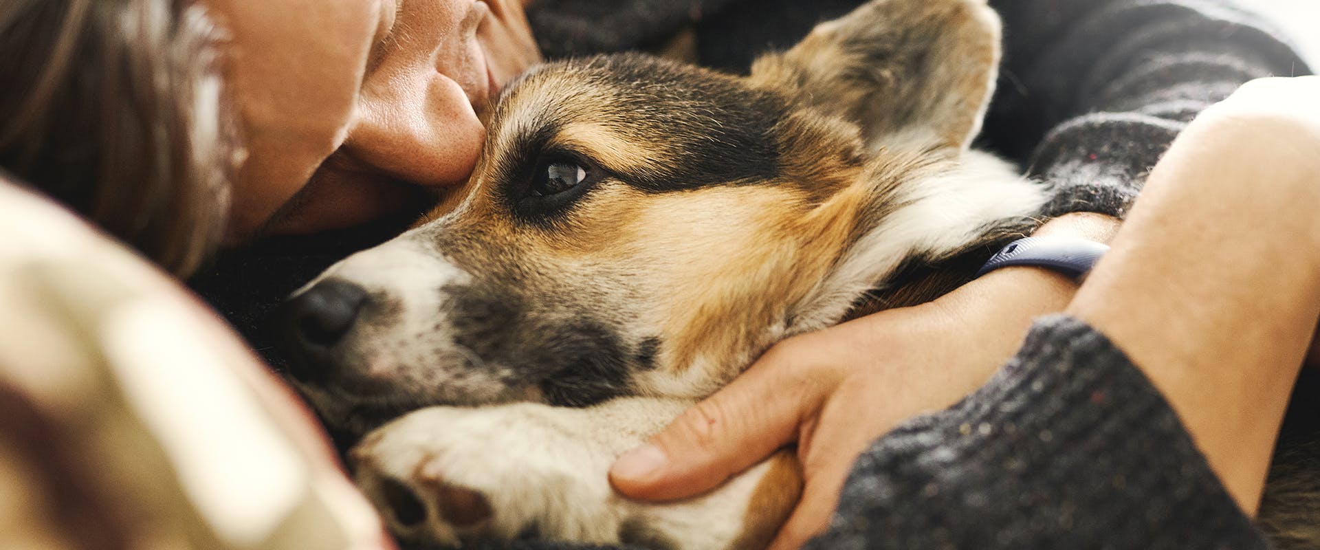 How Do You Let Your Dog Know You Love Them