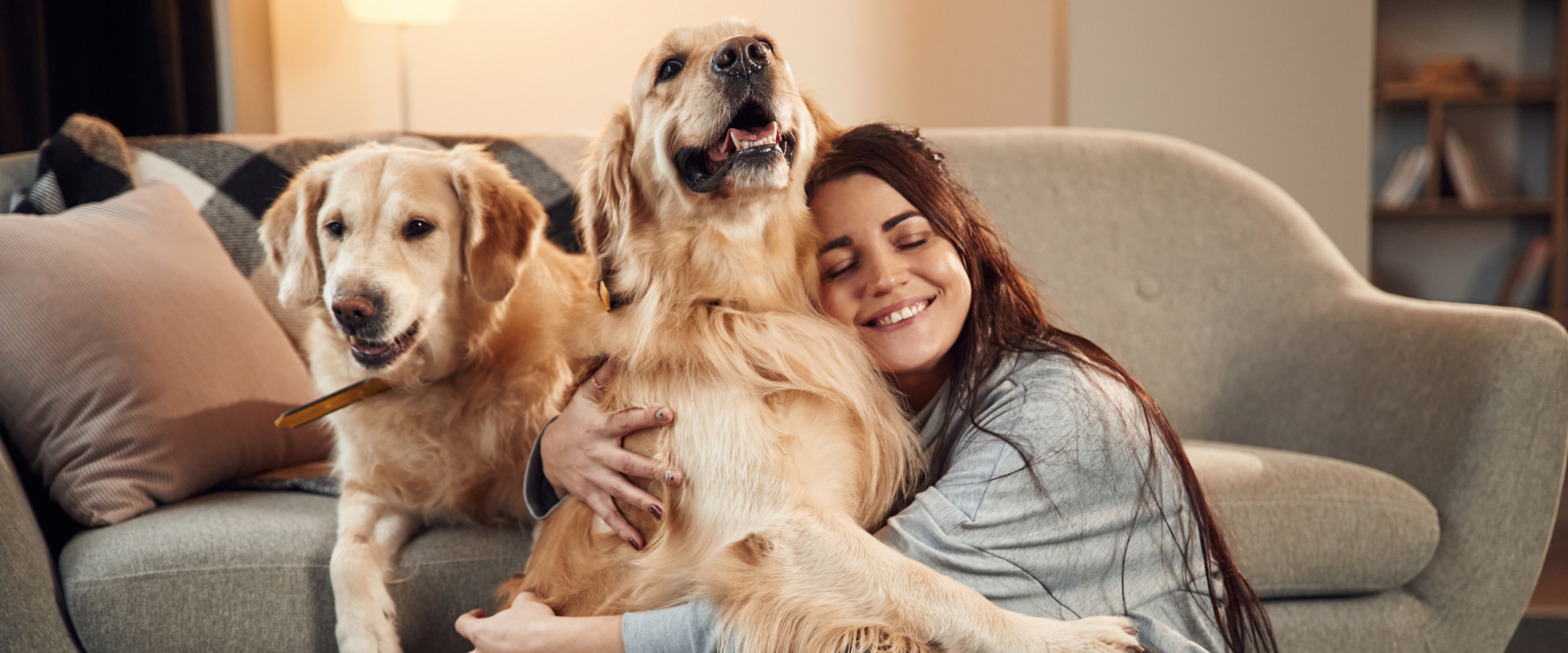 Leaving Dogs Alone & How Best To Prepare | TrustedHousesitters.com