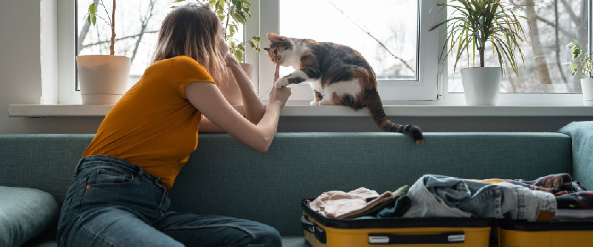 House Sitting Packing List : What to Pack for a House Sit ...