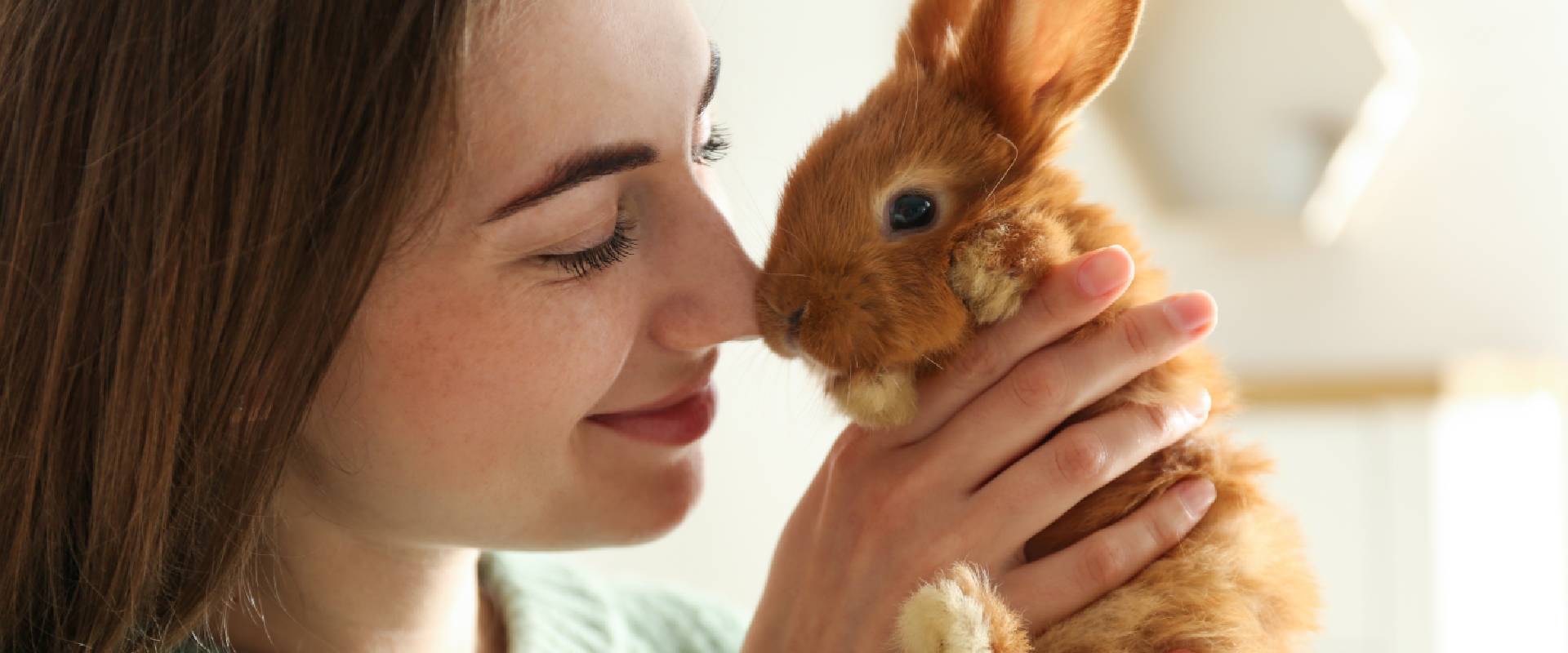 Rabbit Sitting Tips | TrustedHousesitters.com