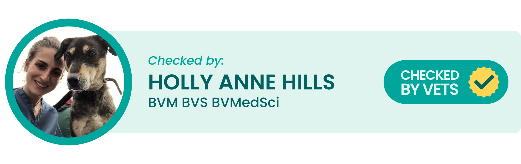 Do Dogs Sweat? Canine Perspiration Explained | TrustedHousesitters.com