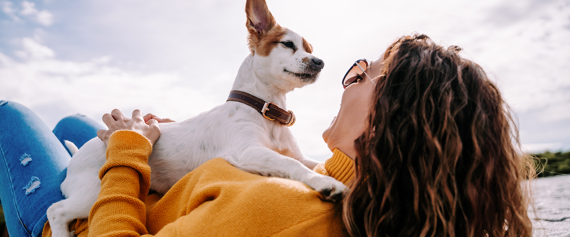 Cool Dog Names | Ideas for Seriously Cool Canines | TrustedHousesitters.com