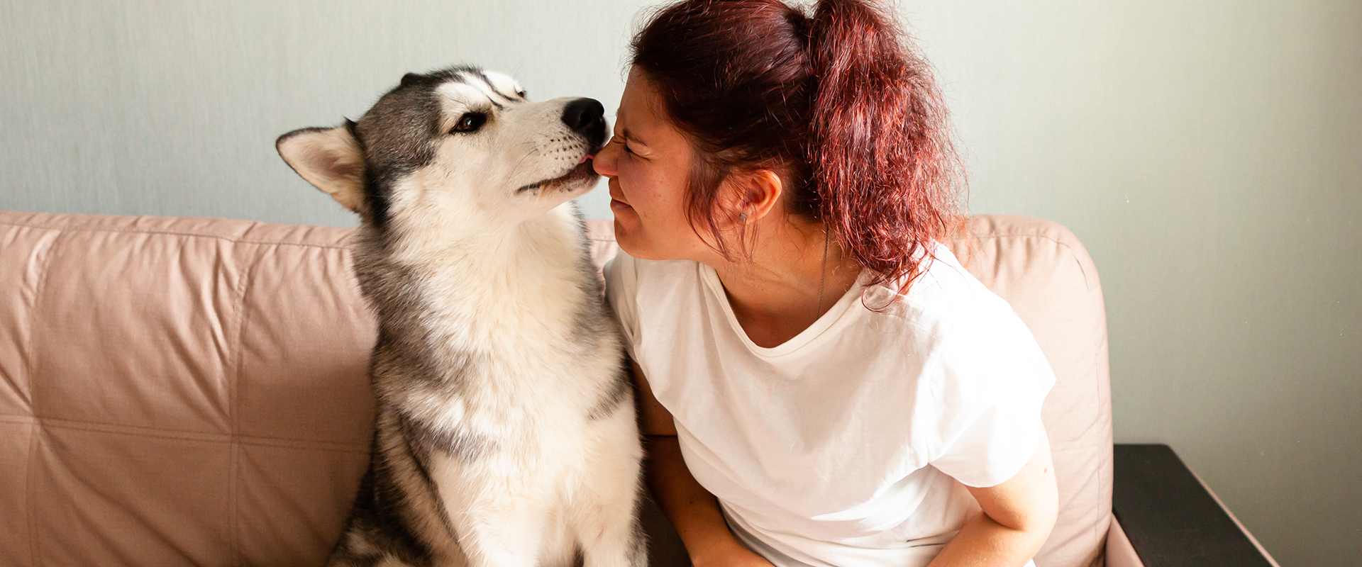 The Pawfect Presents for Dog Mother's Day | TrustedHousesitters.com