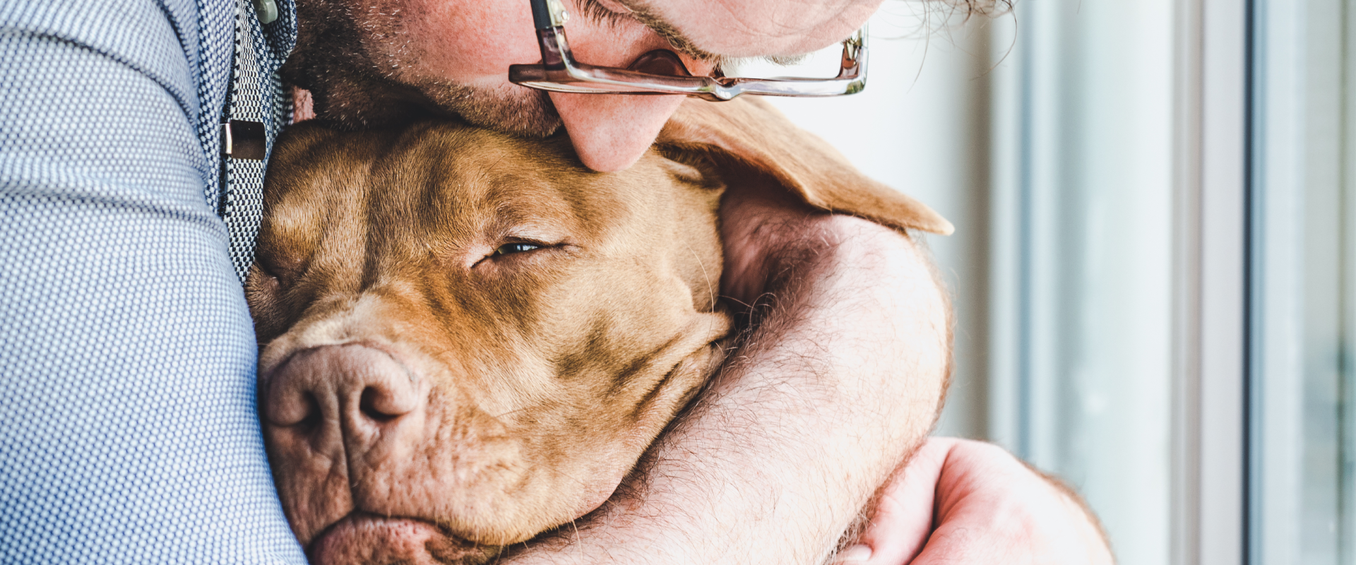A Collection of Quotes for Grieving Pet Parents | TrustedHousesitters.com
