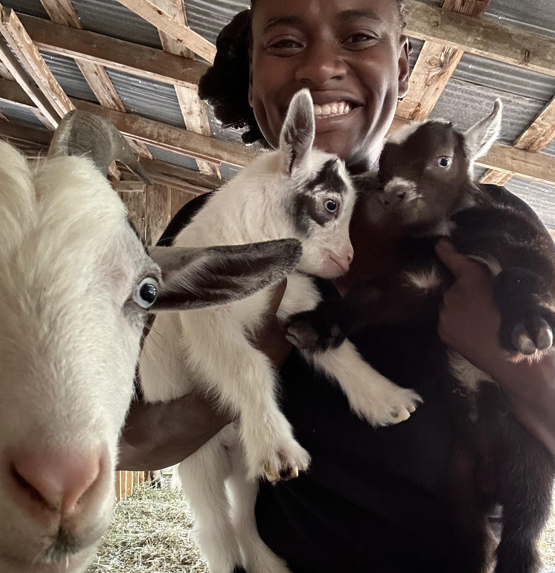 A Message From Our CEO, Mathew Prior | August 2023 ...