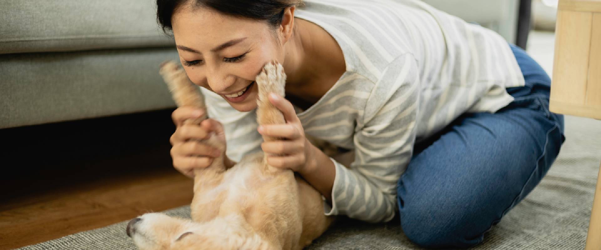 International House Sitting Tips | TrustedHousesitters.com