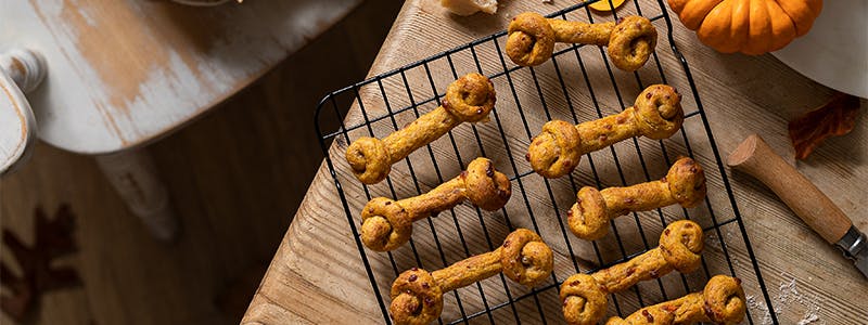 How To Make Your Own Halloween Dog Treats TrustedHousesitters how-to-make-your-own-halloween-dog-treats-trustedhousesitters