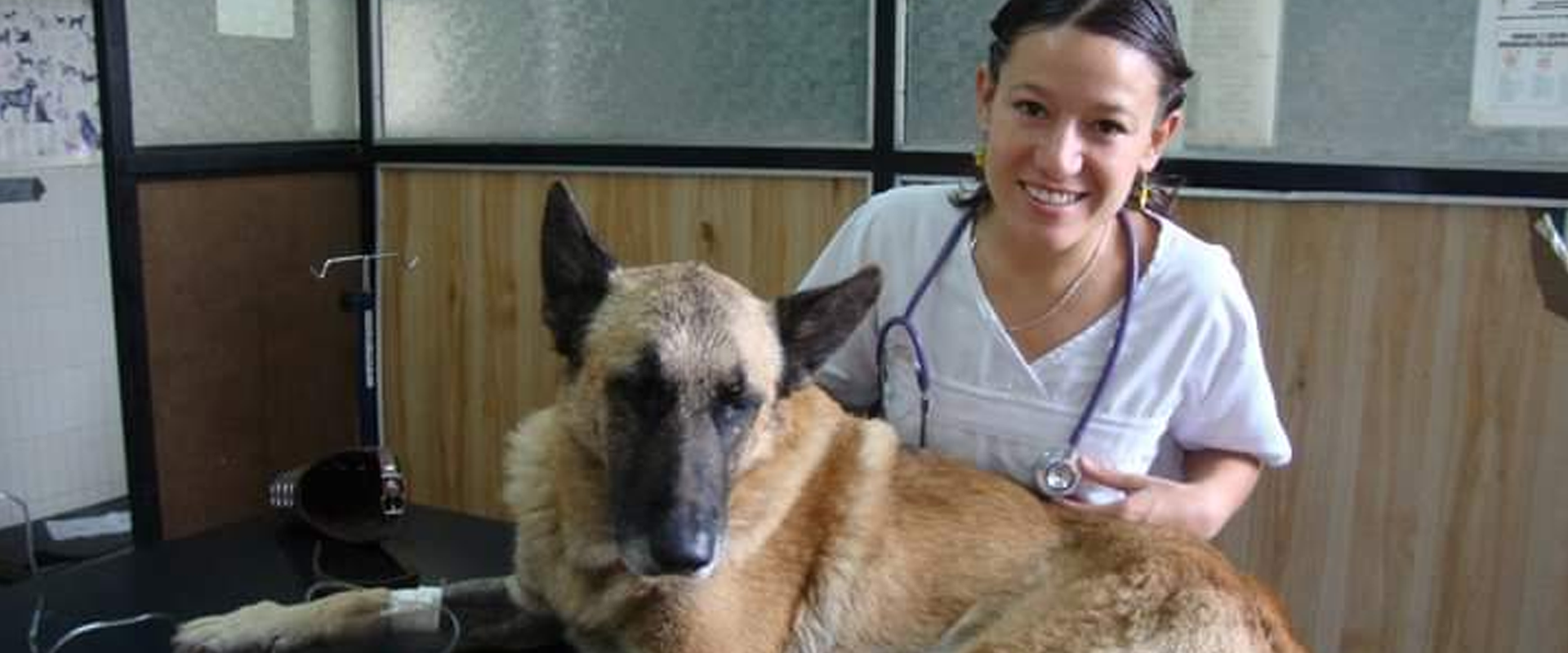 Paola's Member Story | TrustedHousesitters.com