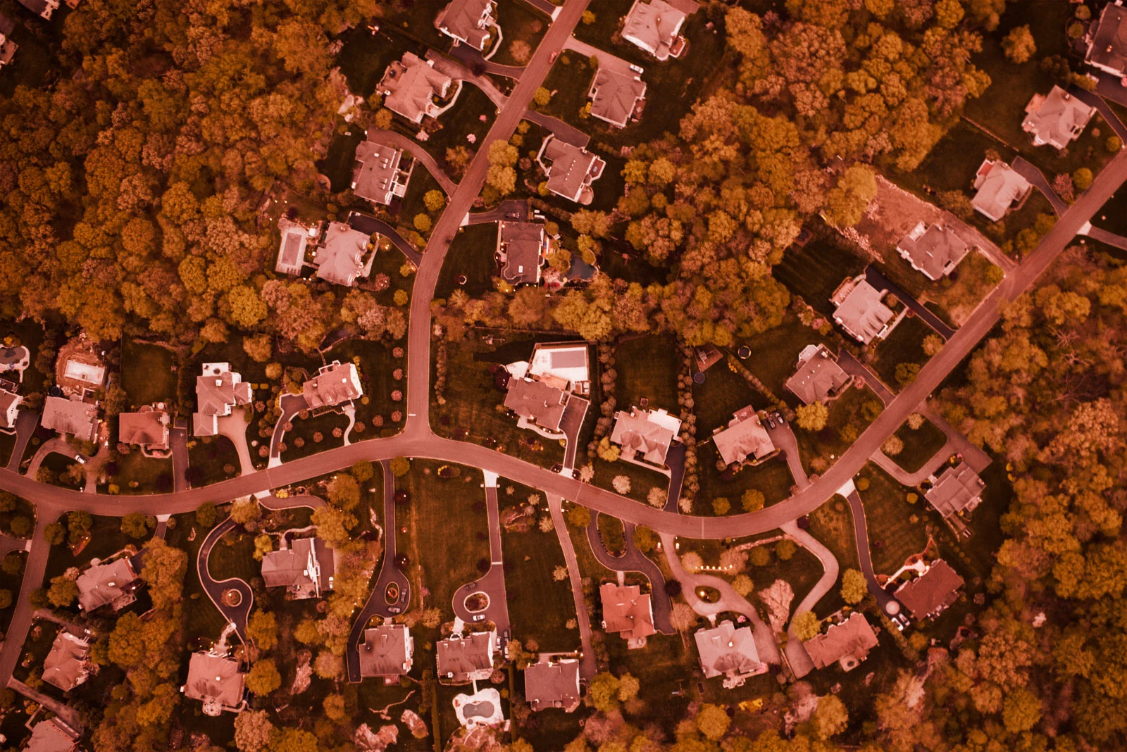 Tuatahi First Fibre welcomes Government announcement to remove ...