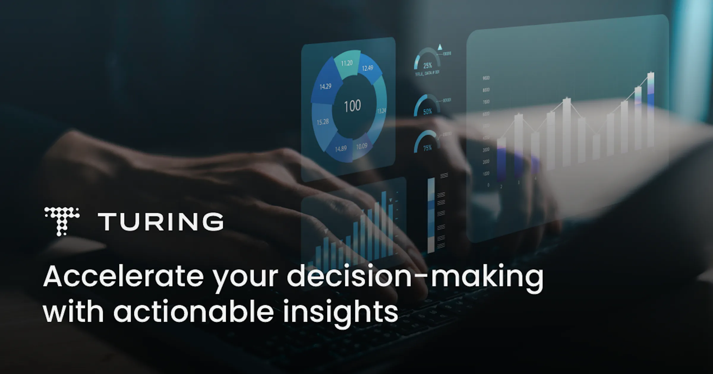 Data Analytics Services Solutions Turing