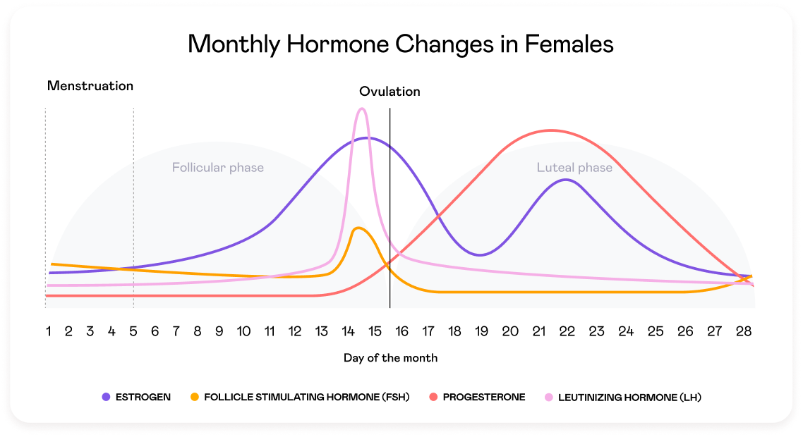 Tuune | How do birth control pills work?