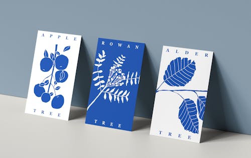 UCLA School of the Arts and Architecture 2021 Commencement