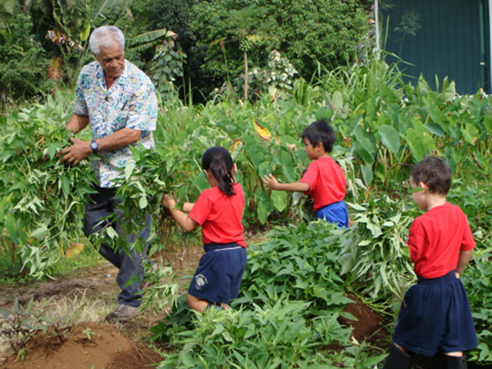 Indigenous-language Immersion Can Narrow Achievement Gap for Native ...