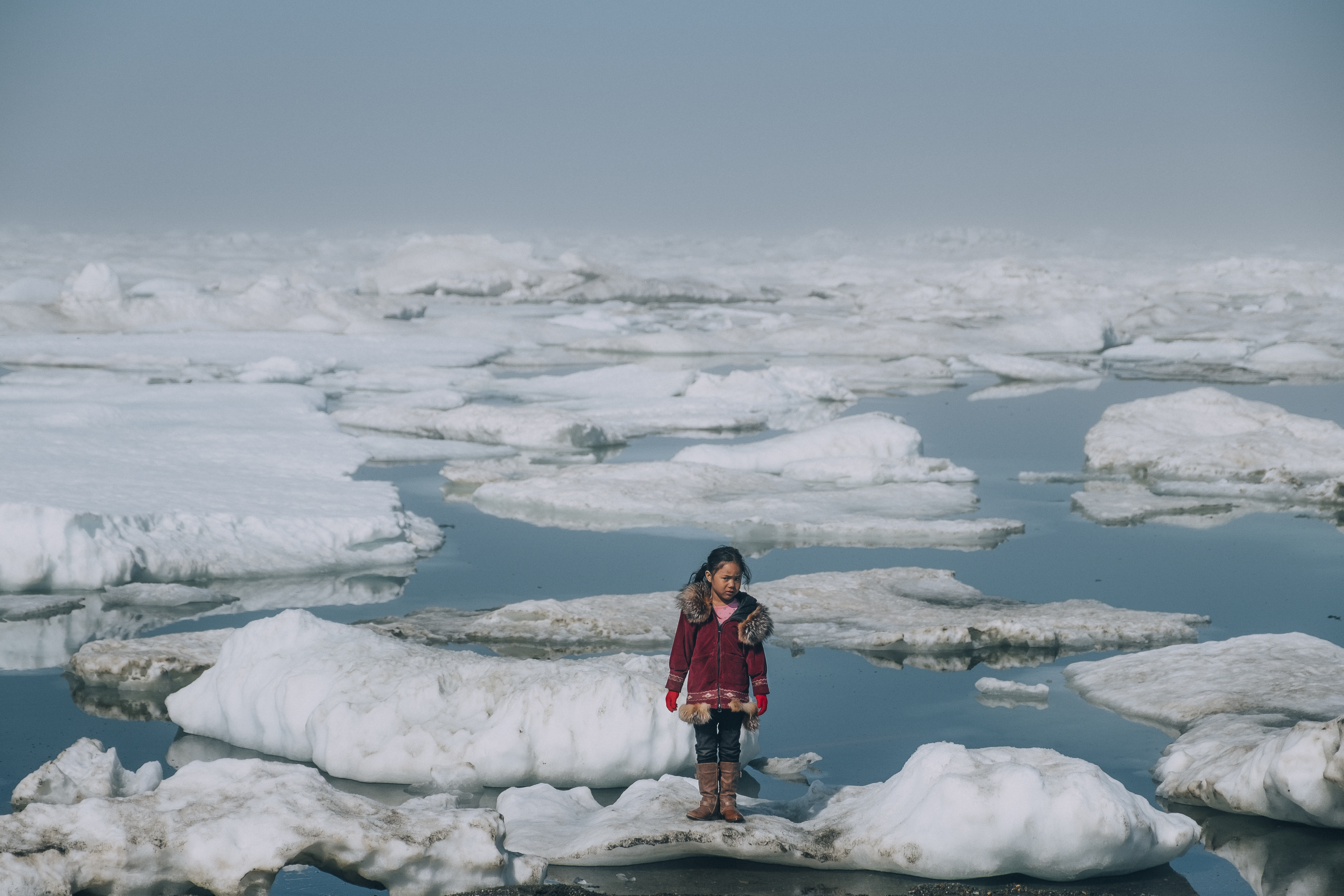 Climate Crisis- The world is in a state of emergency with over 1 ...