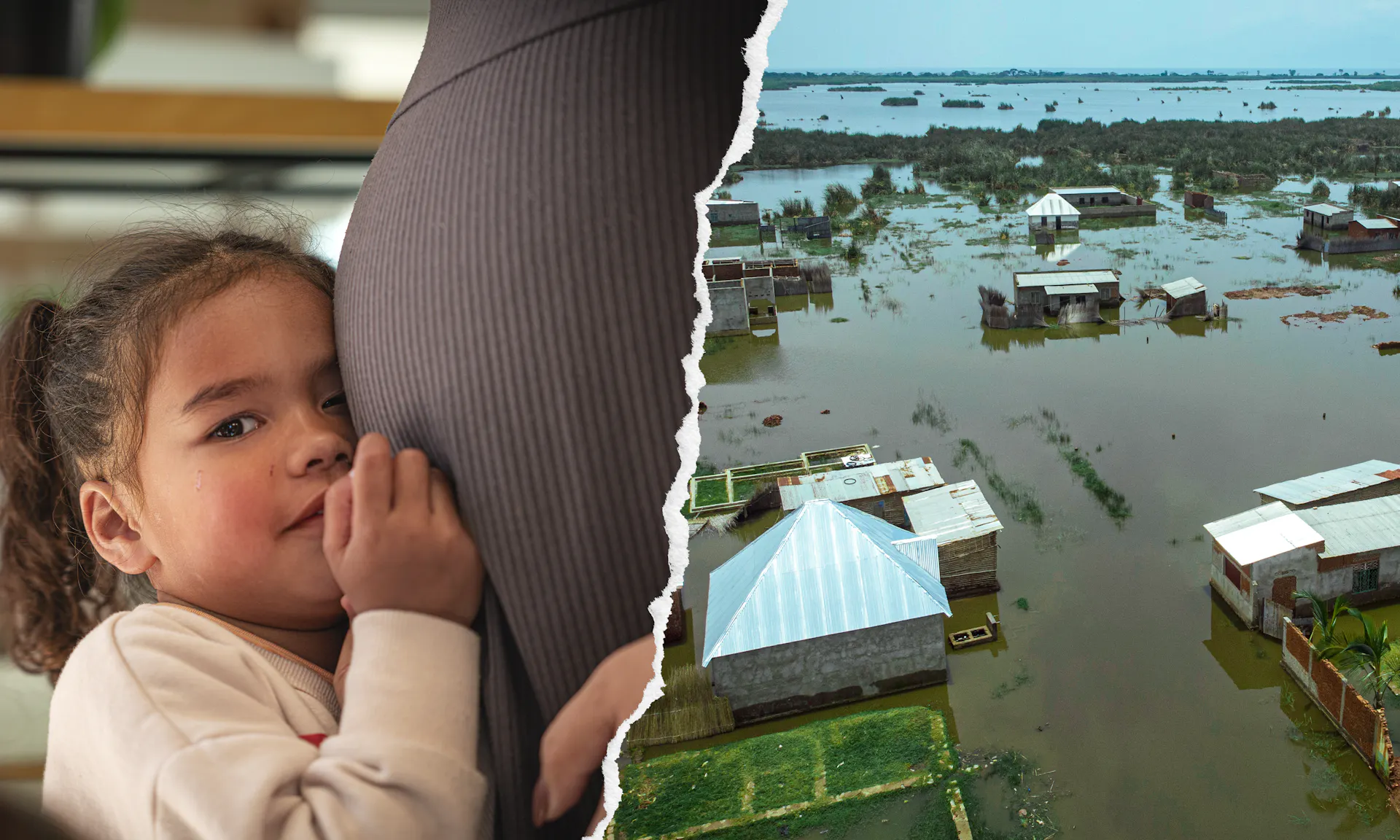 Climate Crisis- The world is in a state of emergency with over 1 ...