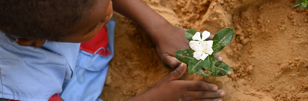 Climate Action for Children | UNICEF Aotearoa