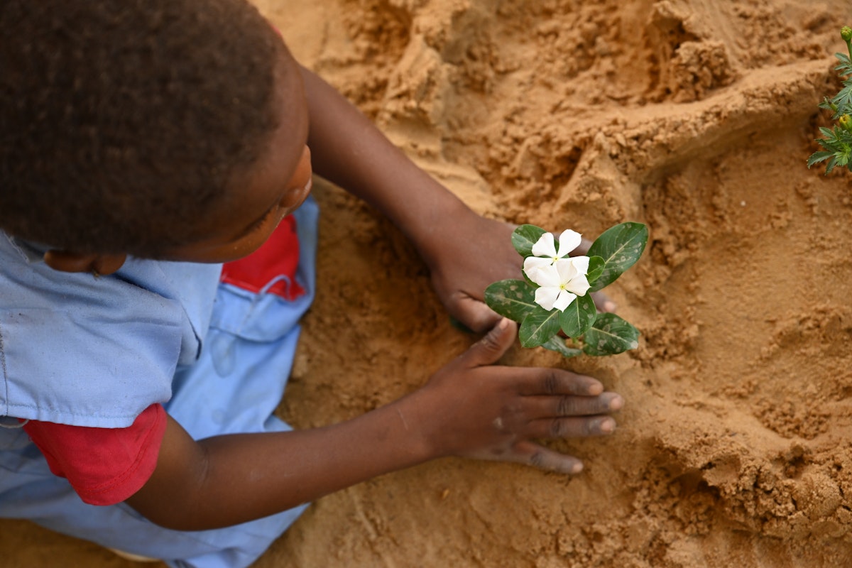Climate Action for Children | UNICEF Aotearoa