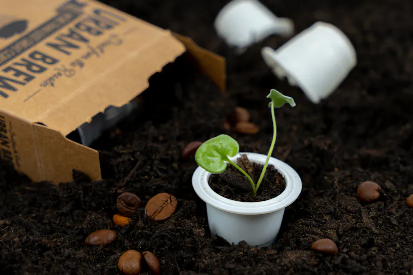 Compostable and Biodegradable Coffee Pods - What's The Difference