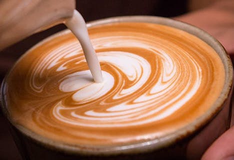 Coffee Types and Suggestions For Best Use