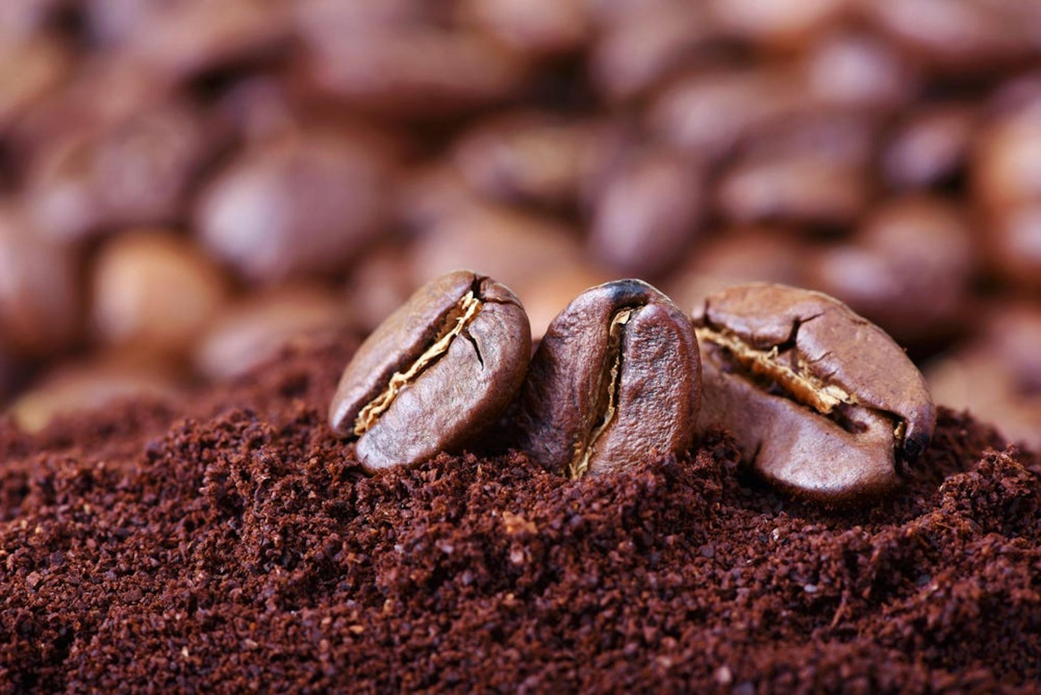 Second Life Of Coffee: How To Use Your Leftover Coffee Grounds