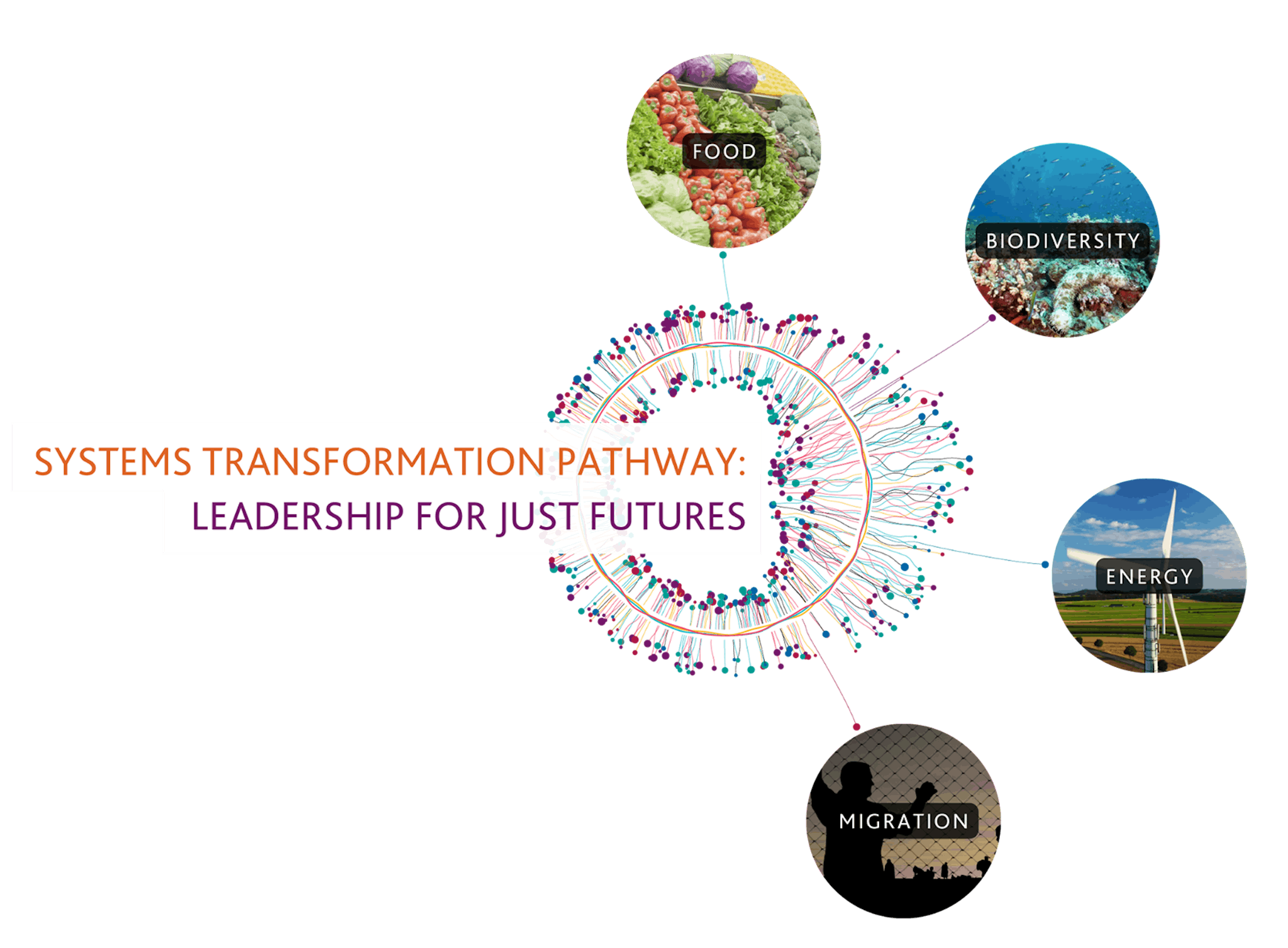 Systems Transformation Pathway | Academic | Learning | UWC Atlantic College