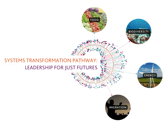 Systems Transformation Pathway | Academic | Learning | UWC Atlantic College