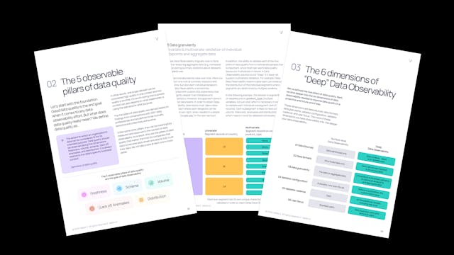 The Data Leader's Guide to Data Observability
