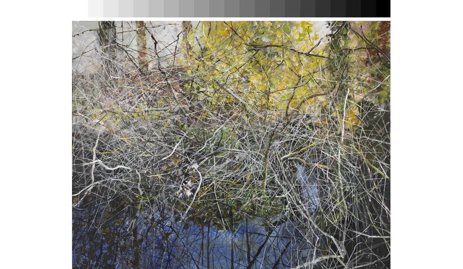 BC Artists Gallery – Vancouver Convention Centre